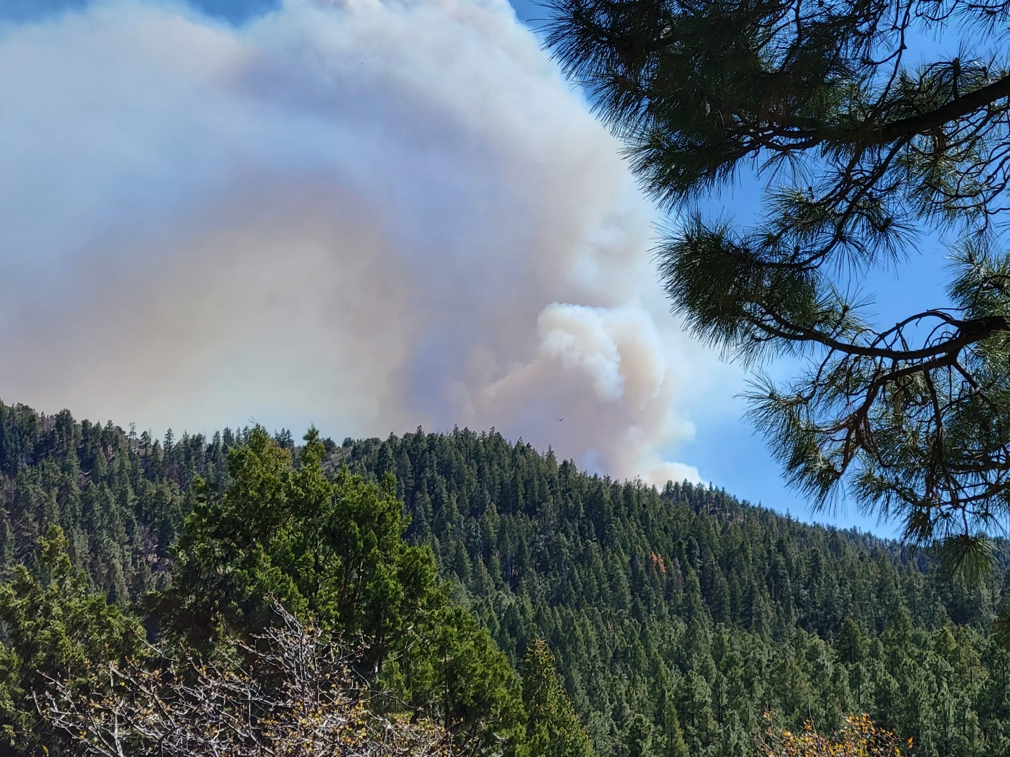 Walker Fire Facebook - Smoke As Expected - Walker Community