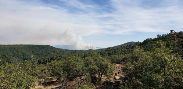 Cellar Fire Update - Walker Fire - July 20 AM - Walker Community