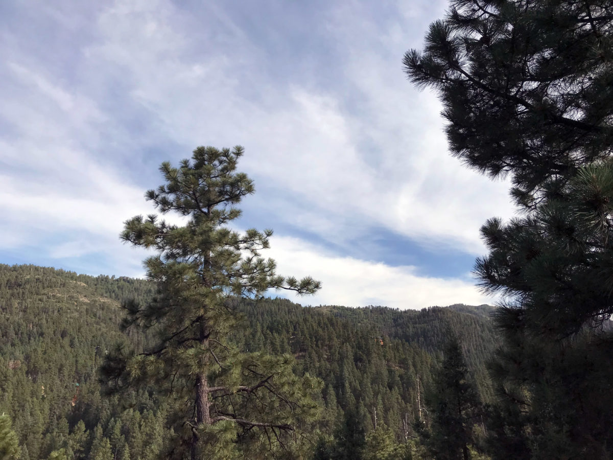 Cellar Fire Update - July 17, 2019 - Walker Community