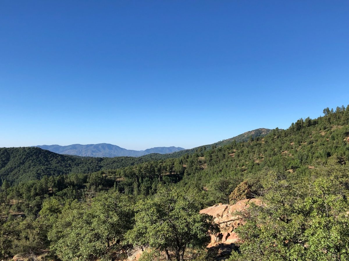 Cellar Fire Update - Walker Fire - July 20 AM - Walker Community